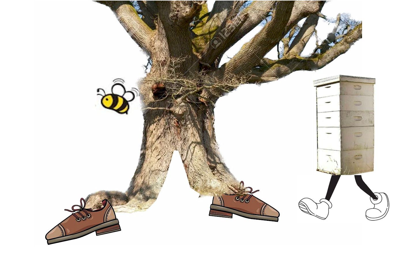 Vertical Beehives and The Lord of the Rings - forestbeehive.com ...