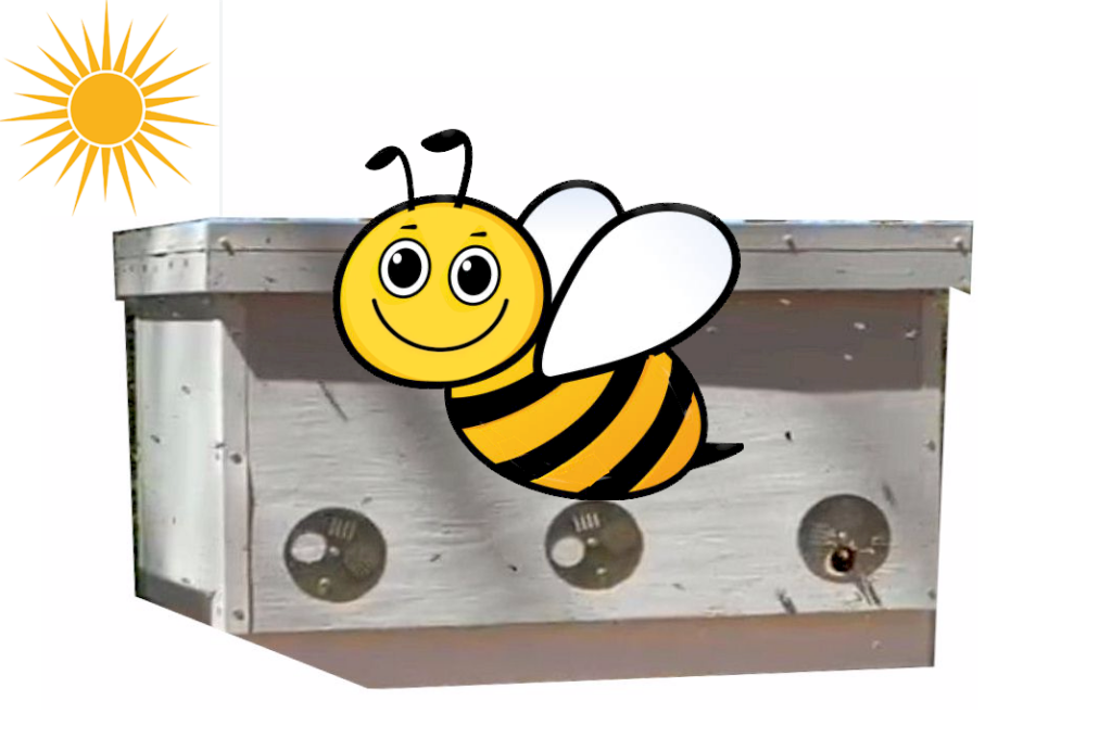 Stories - forestbeehive.com - Natural Beekeeping in Maine